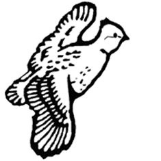 cropped-vssa-logo – Home of the Virginia Skeet Shooting Association